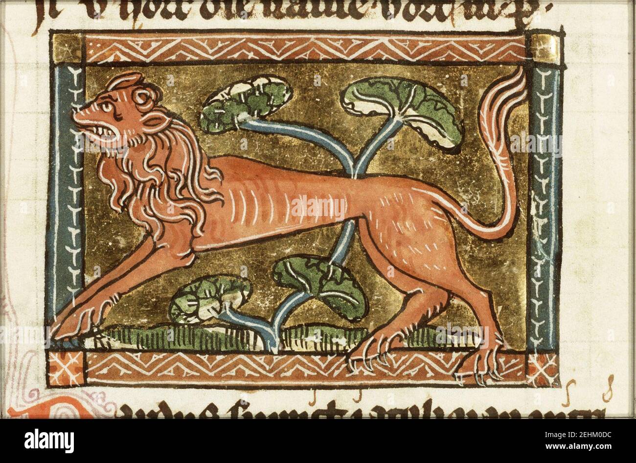 Pardus (leopard) - Der naturen bloeme - Jacob van Maerlant - KB KA 16 ...