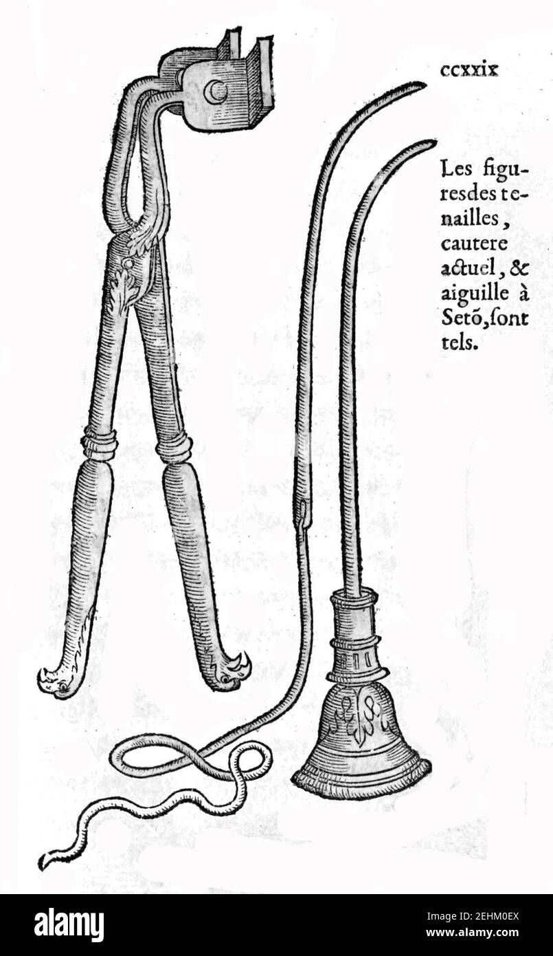 Paré Cut Out Stock Images & Pictures - Alamy