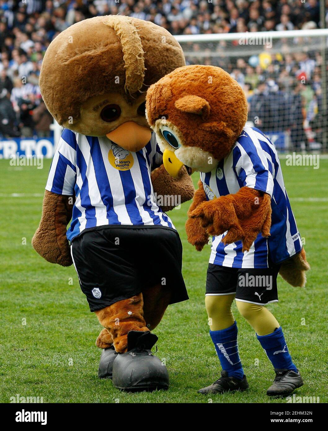 Sheffield wednesday mascot hi-res stock photography and images - Alamy
