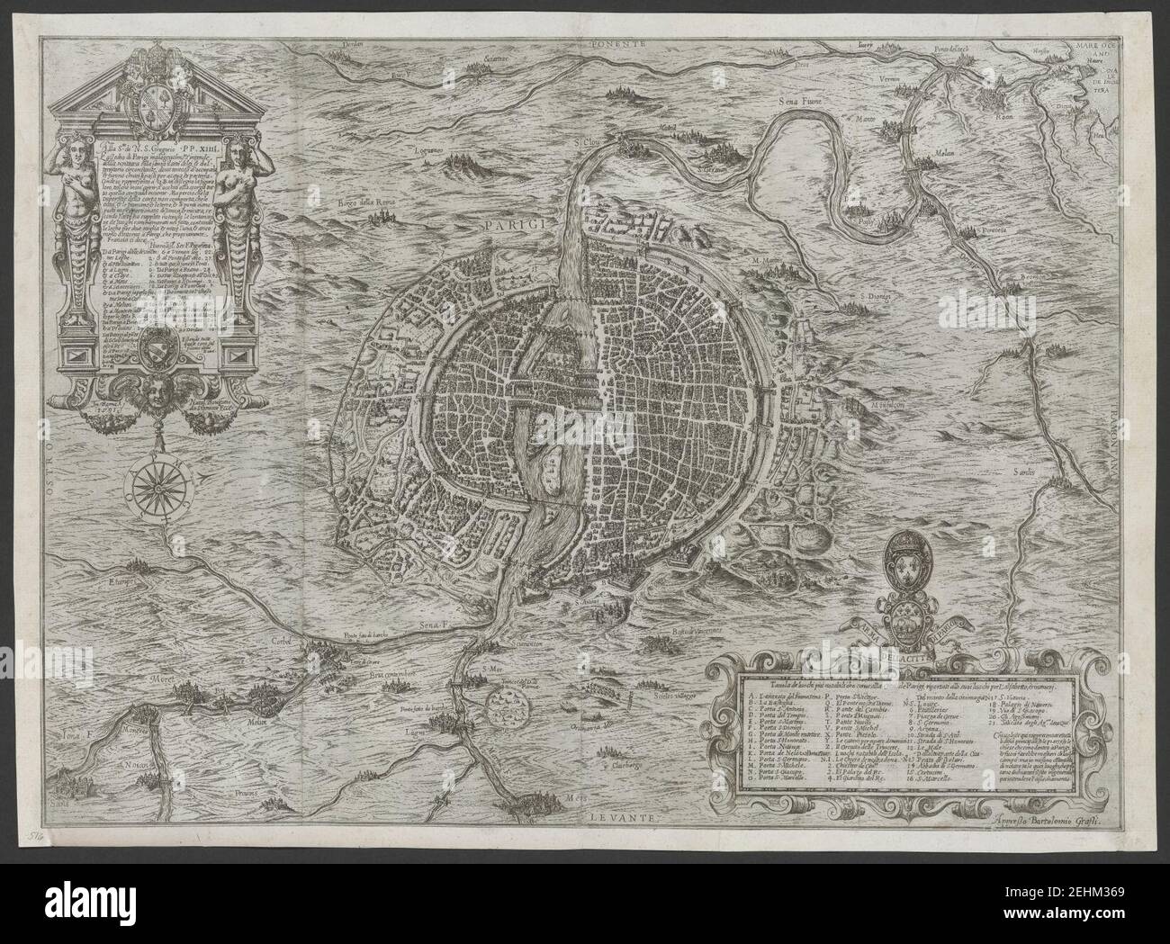 Pigafetta hi-res stock photography and images - Alamy