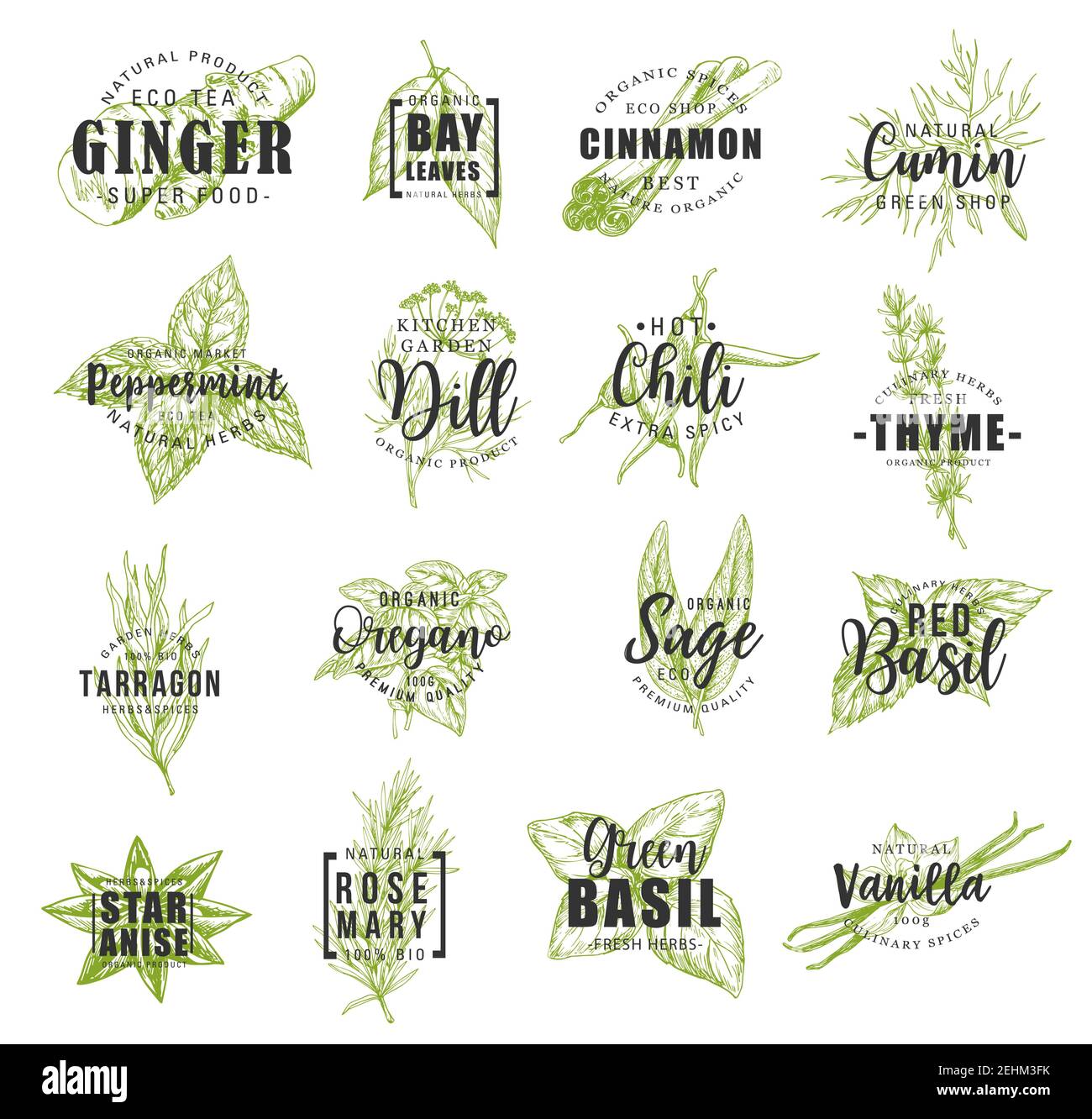Spice and herb leaf sketch label with lettering for food condiment and ...