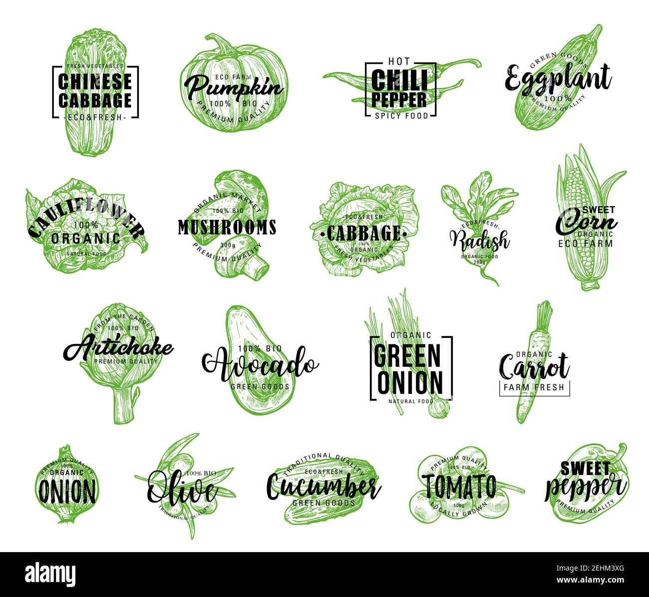 Vegetables icons with lettering, vector. Chinese cabbage and pumpkin ...