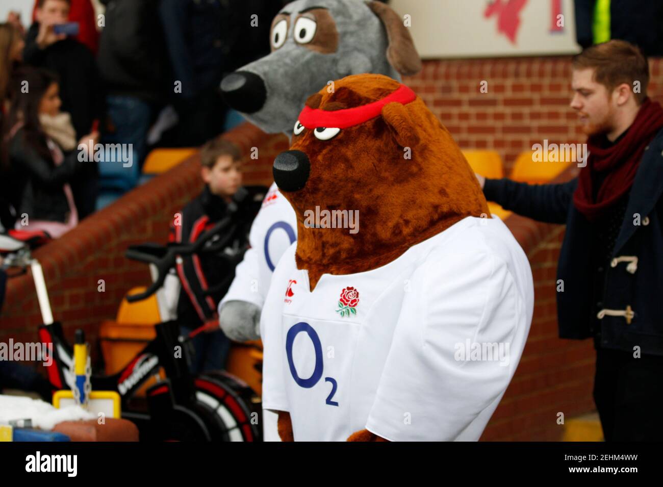 Mascot Rugby High Resolution Stock Photography and Images - Alamy