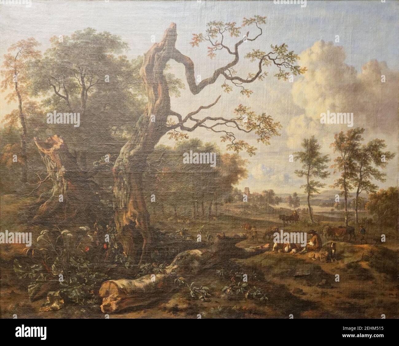 Jan Wynants - Lisière de forêt - INV 1967 - 001 Stock Photo - Alamy