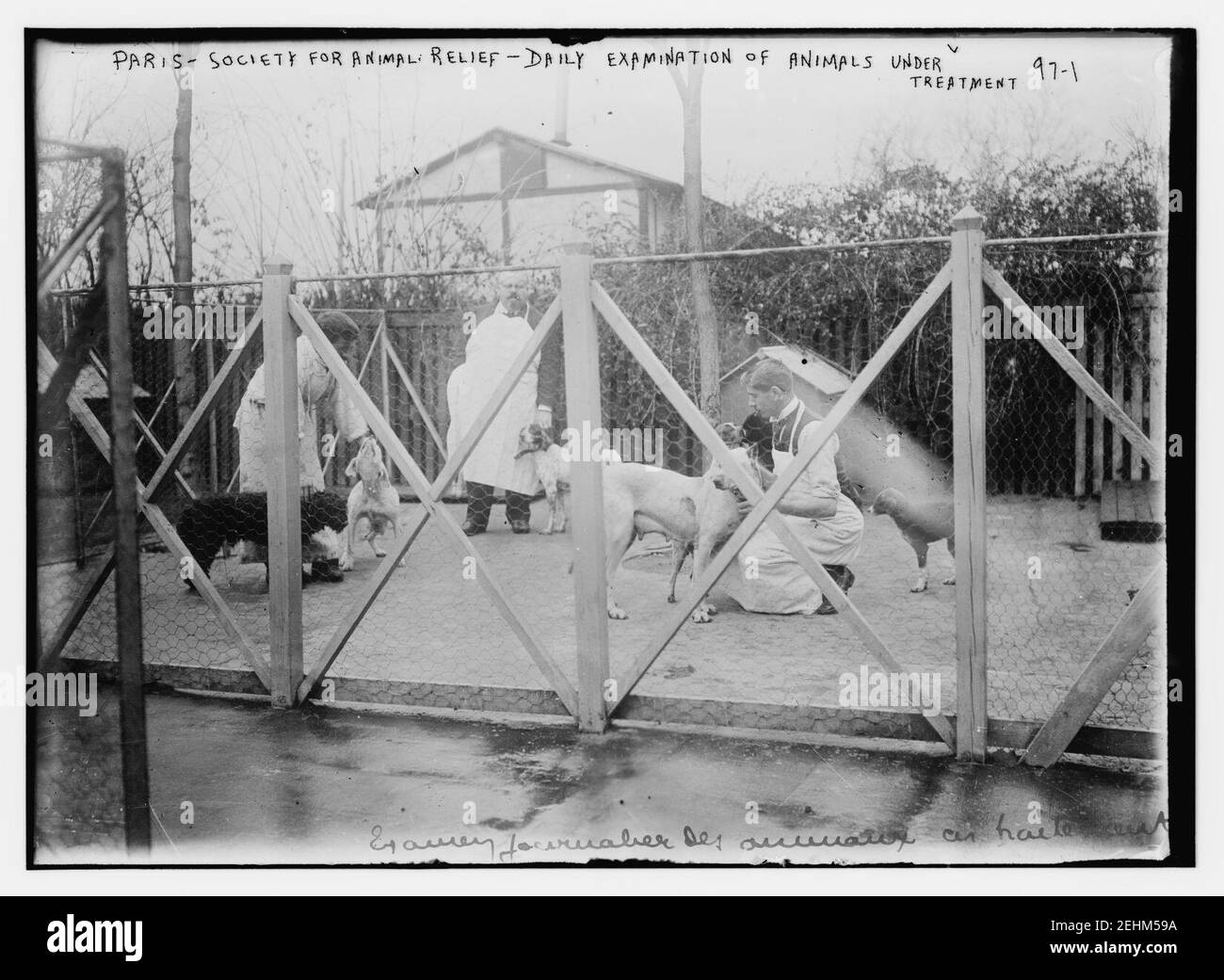 Relief of animals Black and White Stock Photos & Images - Alamy