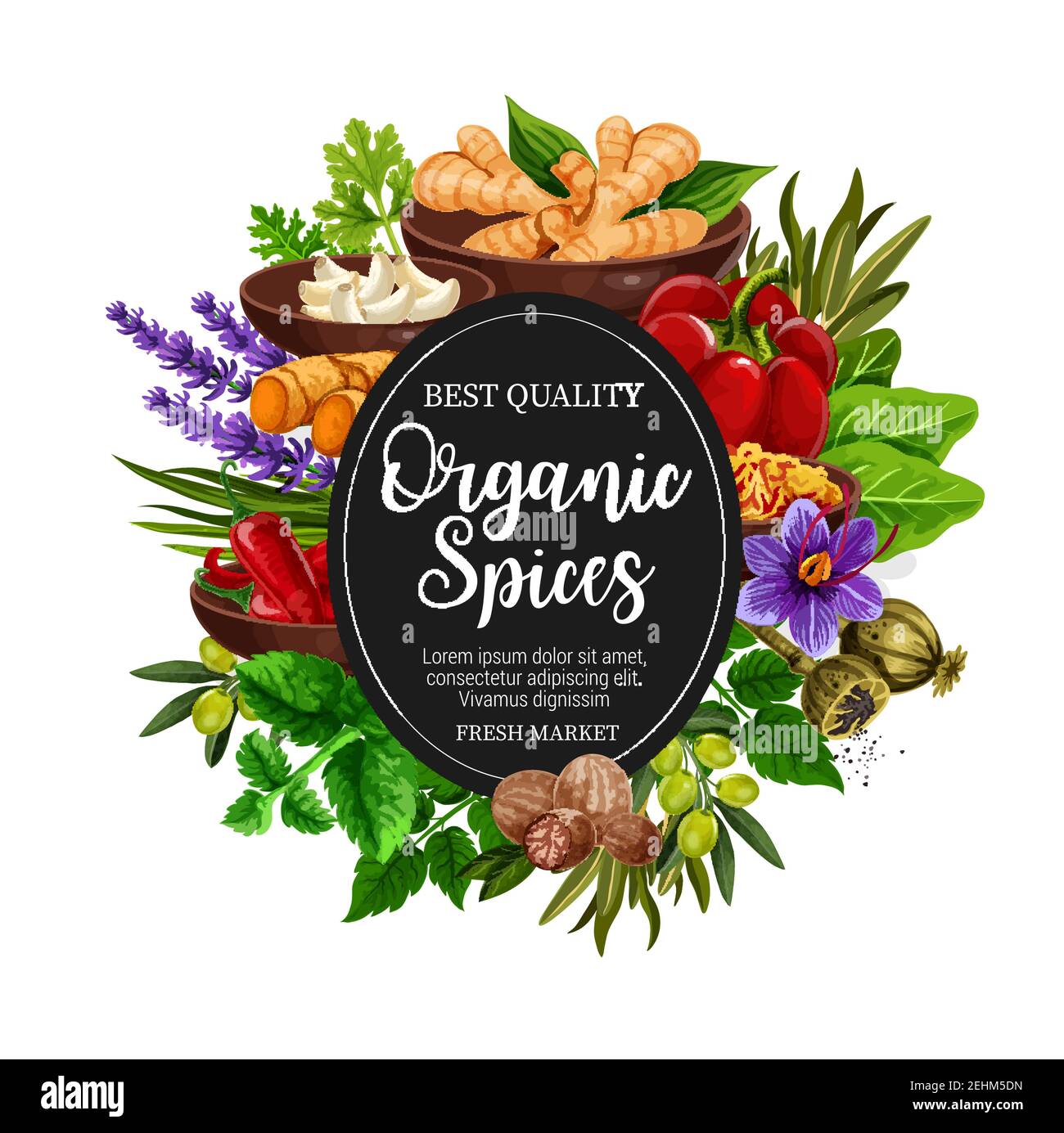 Organic spices and herbal seasonings poster. Vector design of ginger ...