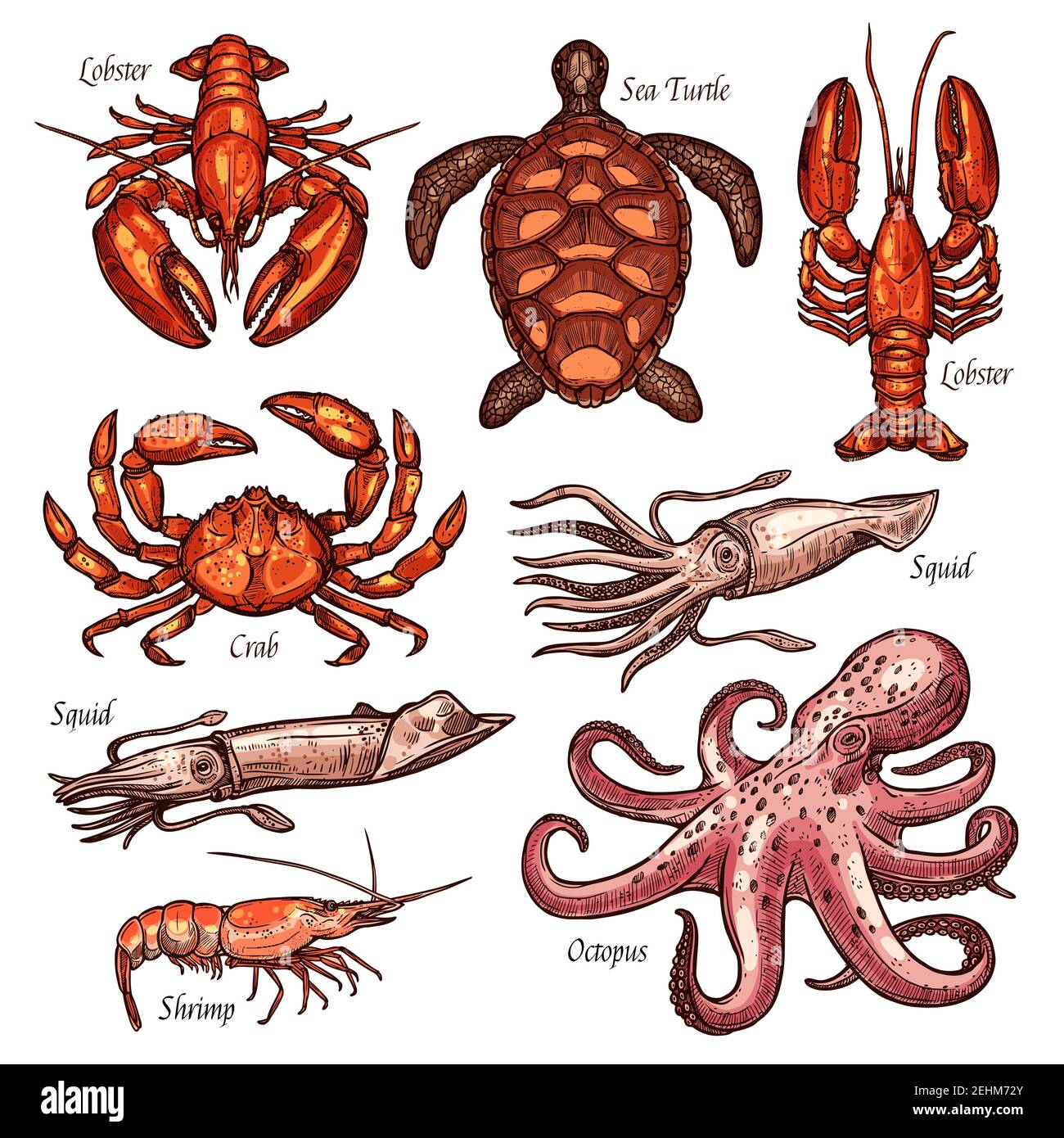 Fauna sketches Stock Vector Images - Alamy