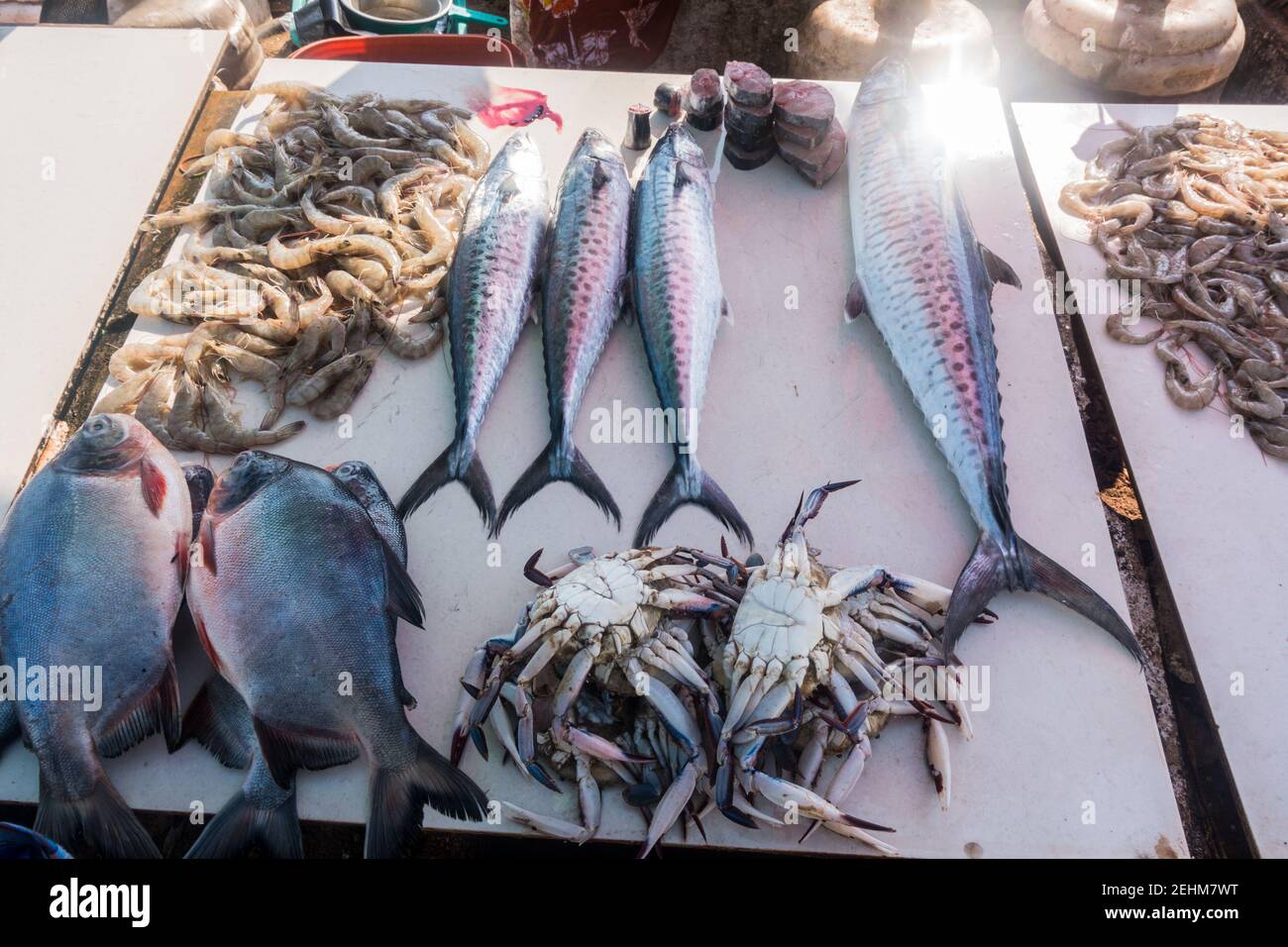 India tamil nadu chennai fish hi-res stock photography and images - Alamy