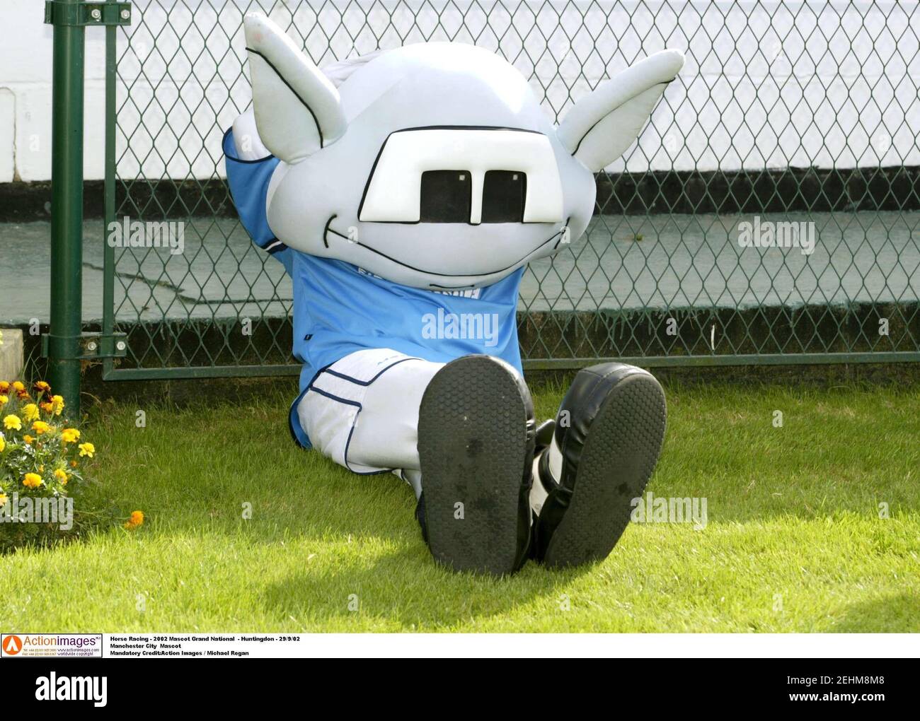 Manchester city mascot hi-res stock photography and images - Alamy