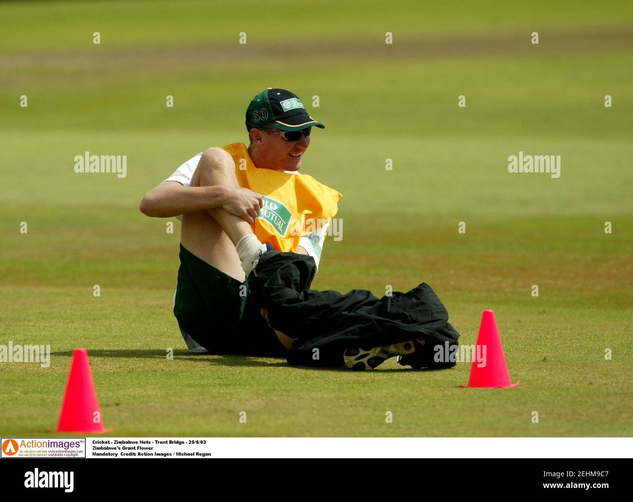 Zimbabwe grant flower hi-res stock photography and images - Alamy