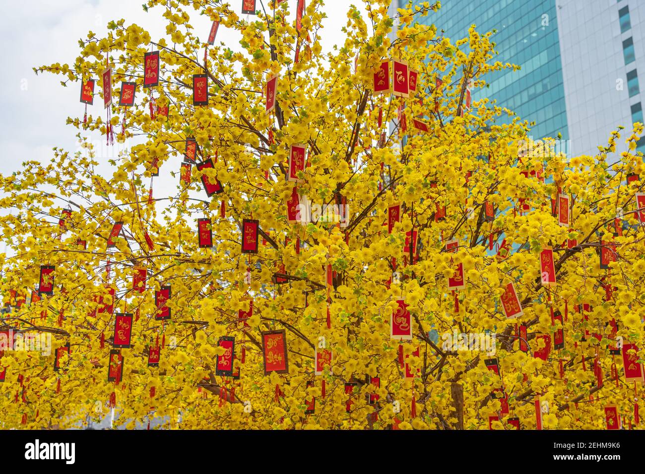 Vietnamese Tet Money Tree