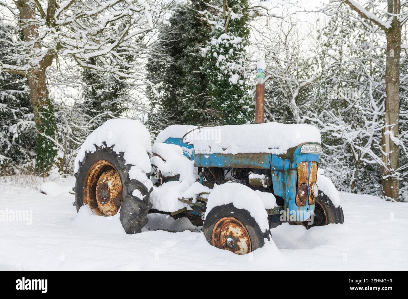 Fordson Super Dexta Tractor in the snow Photo Phil Wilkinson / Alamy ...