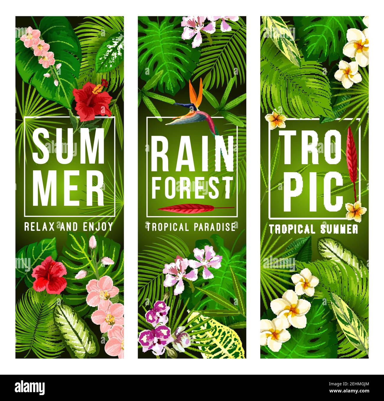 Tropical palm leaf and exotic jungle flower banner for summer holiday ...