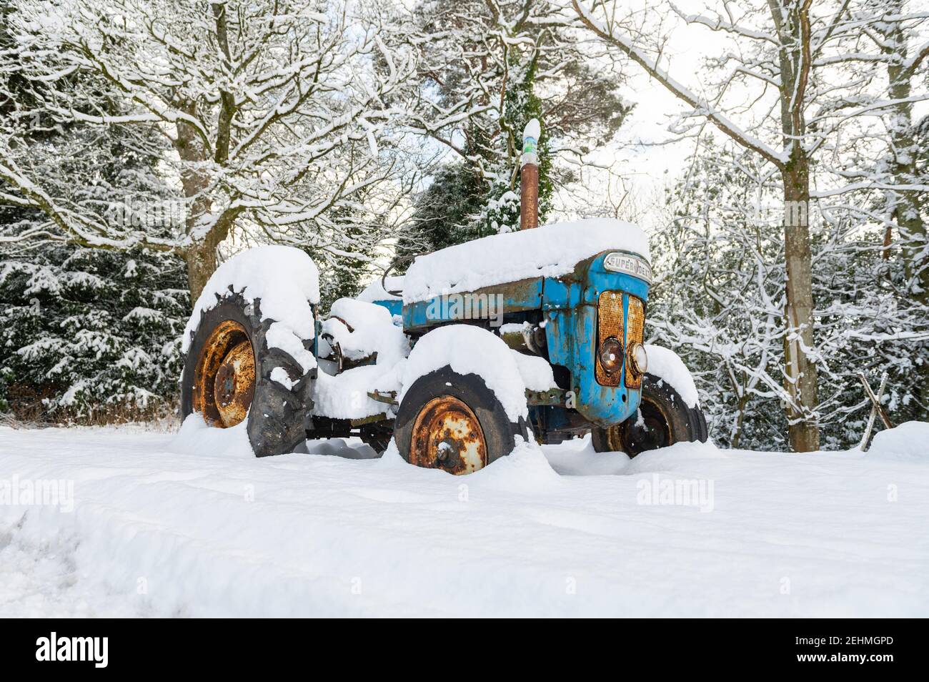 Fordson Super Dexta Tractor in the snow Photo Phil Wilkinson / Alamy ...