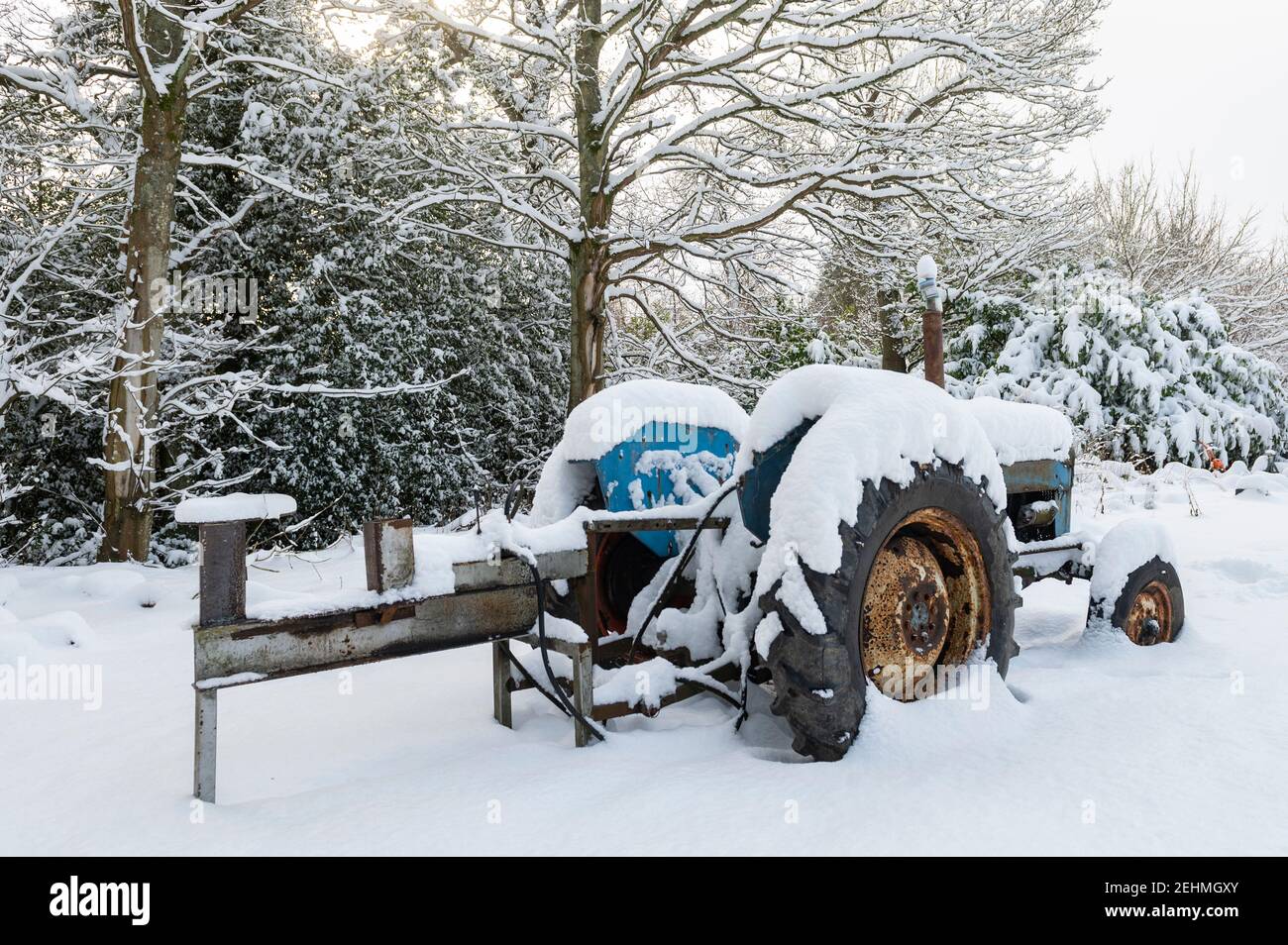 Fordson Super Dexta Tractor in the snow Photo Phil Wilkinson / Alamy ...