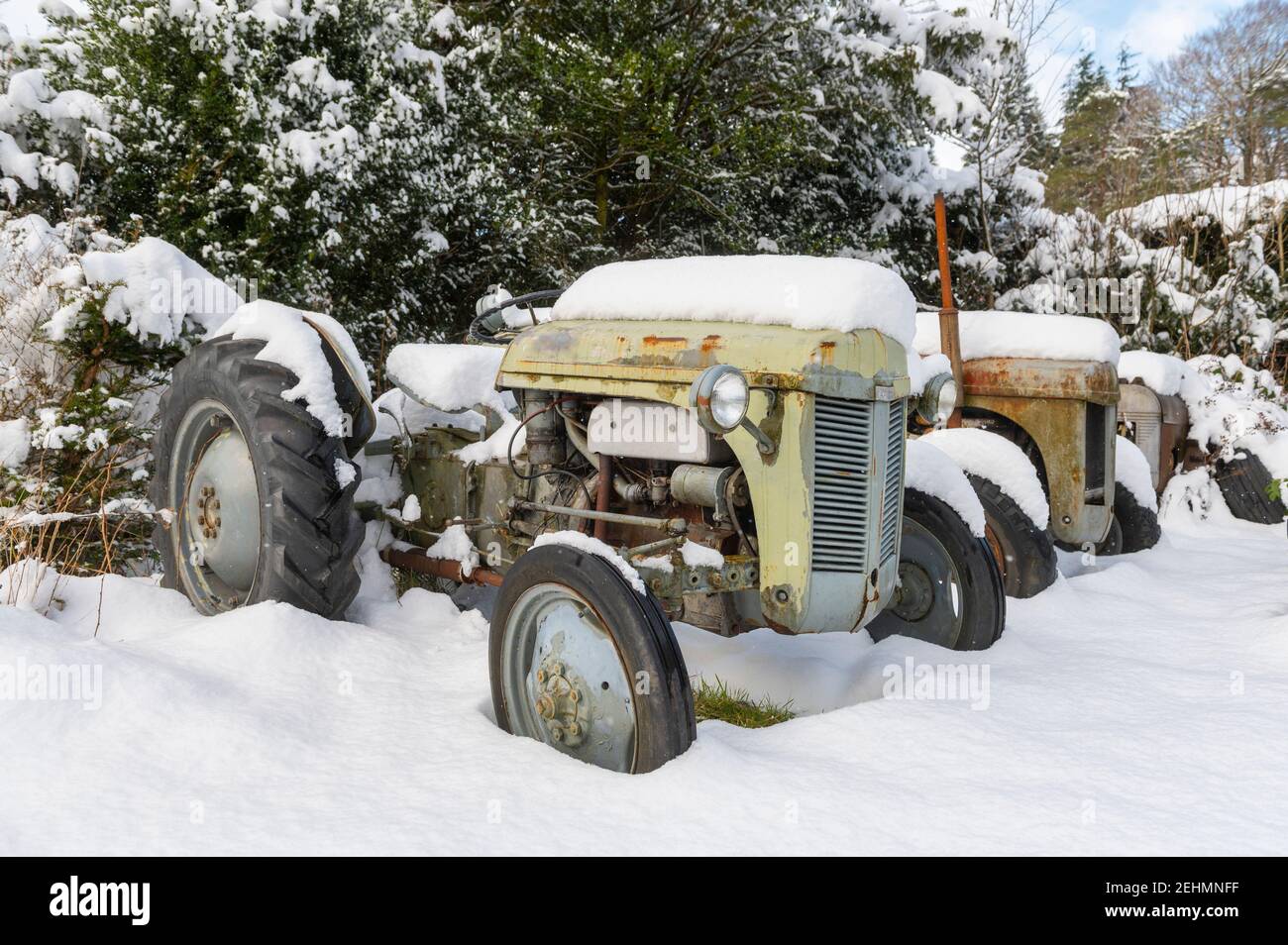 Ferguson te20 tractor hi-res stock photography and images - Alamy