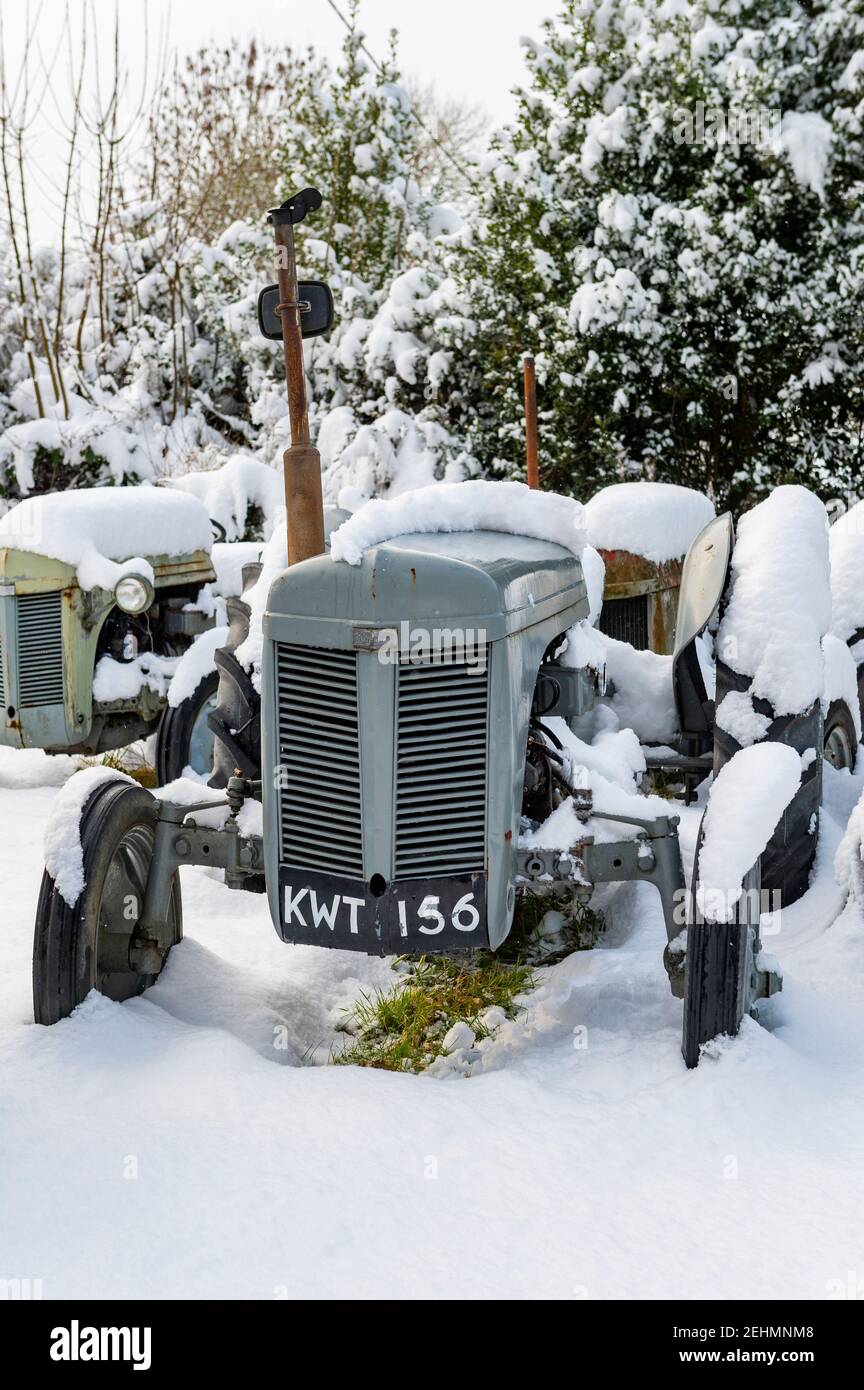 Old vintage Ferguson TE20 Tractor in the snow Photo Phil Wilkinson ...