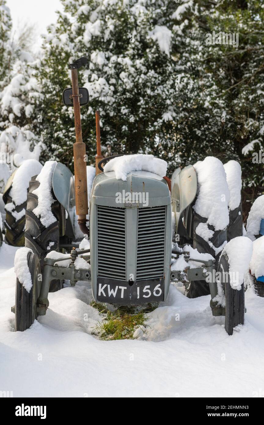 Old vintage Ferguson TE20 Tractor in the snow Photo Phil Wilkinson ...