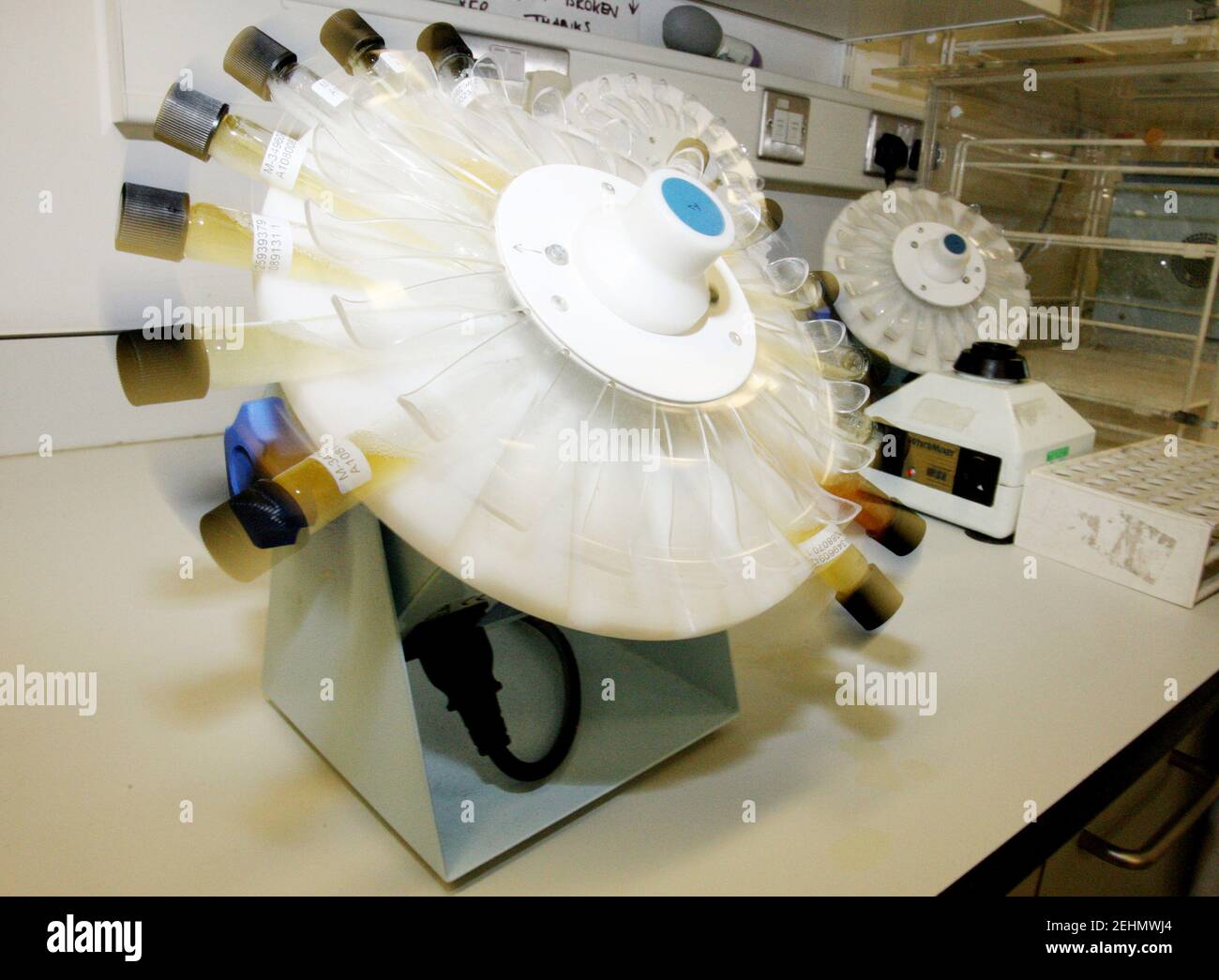 Wada lab hi-res stock photography and images - Alamy