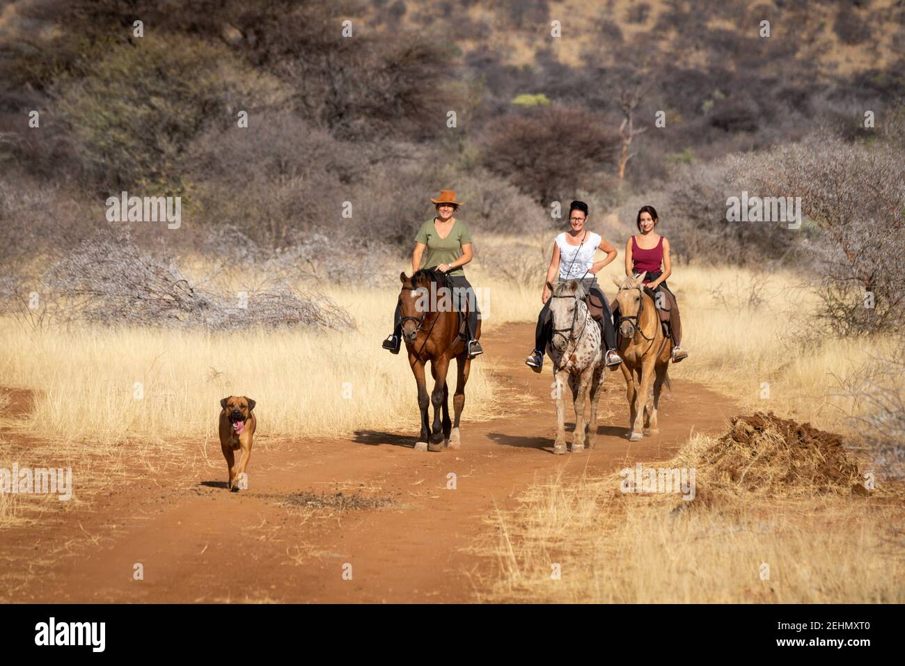 Three women ride on track with dog Stock Photo - Alamy