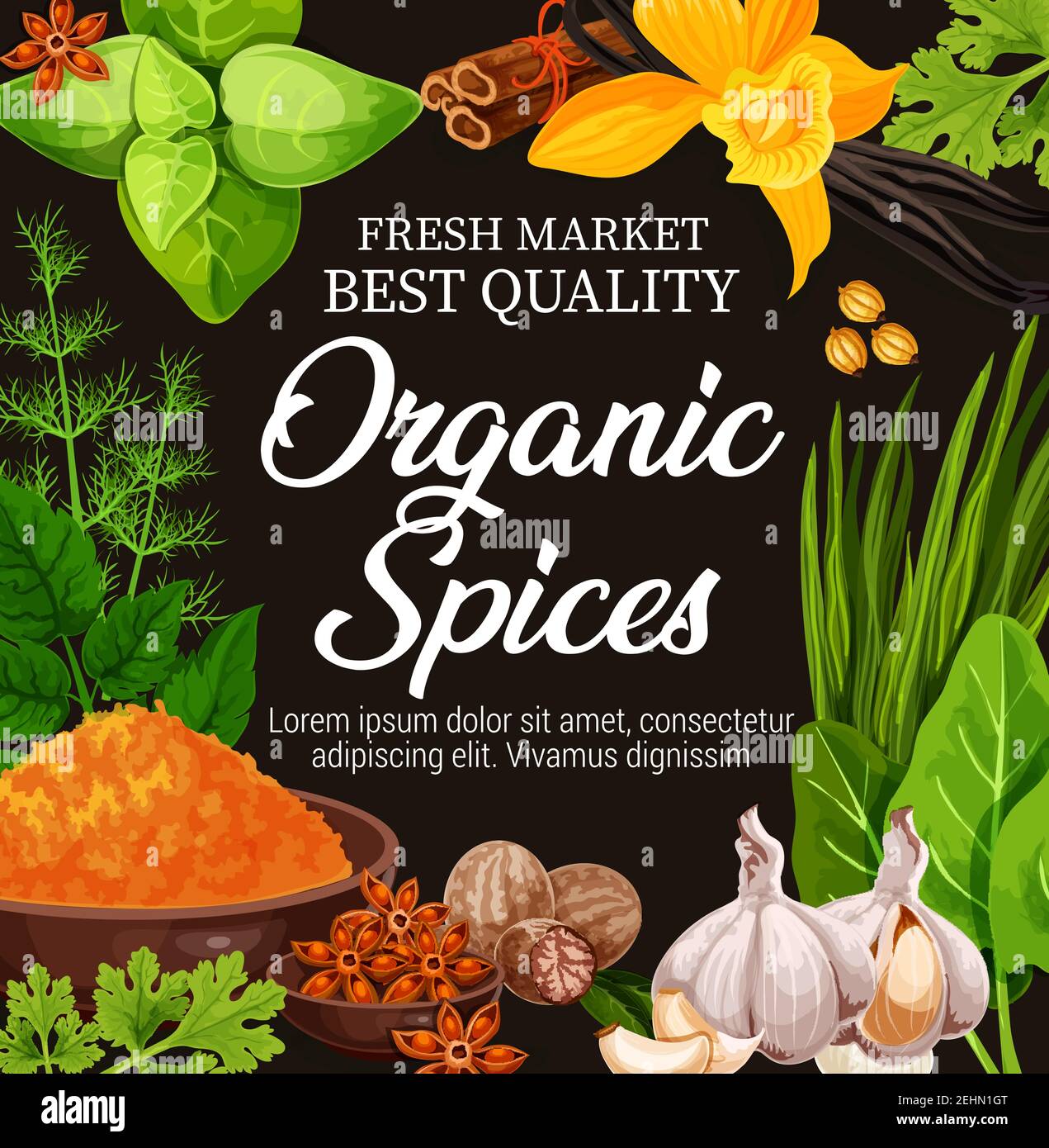 Organic spices, seasoning herbs and herbal flavorings. Cooking or farm ...