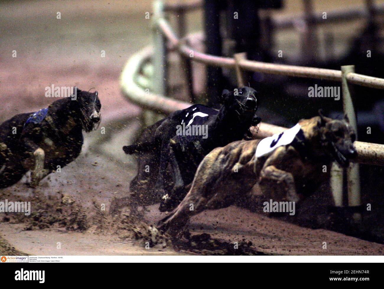 Romford greyhound racing hi-res stock photography and images - Alamy