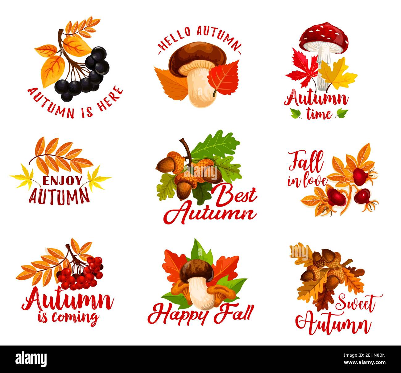 Autumn Cards