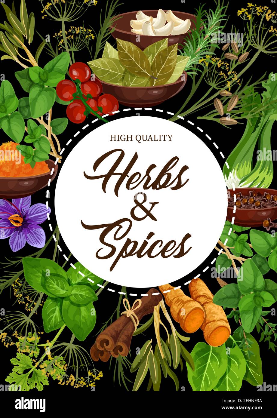 Seasoning herbs and spices or condiments. Vector rosemary and thyme ...