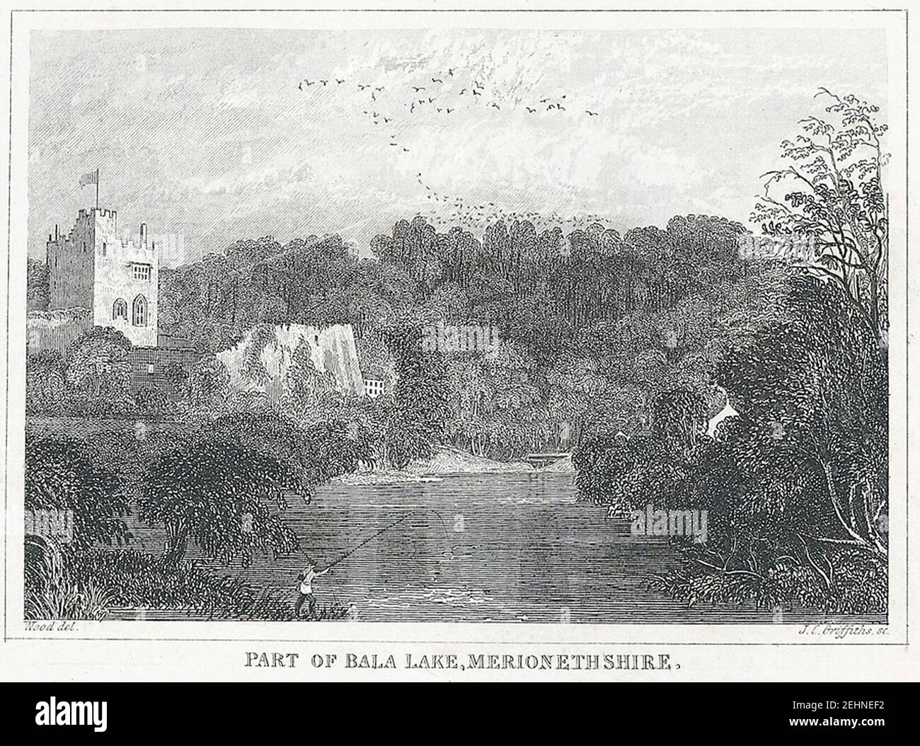 Part of Bala Lake, Merionethshire Stock Photo - Alamy