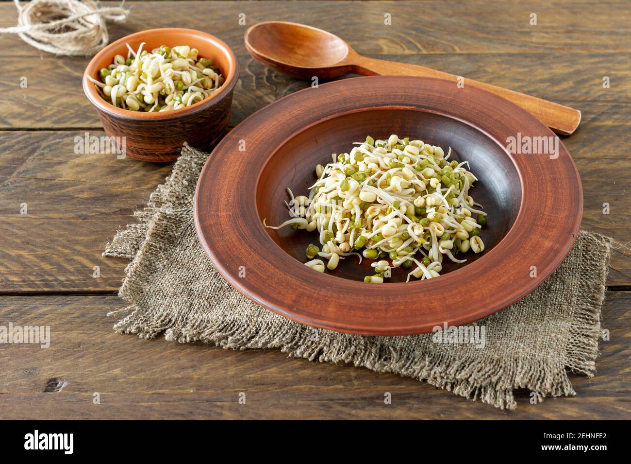 Germinated sprouts hi-res stock photography and images - Alamy