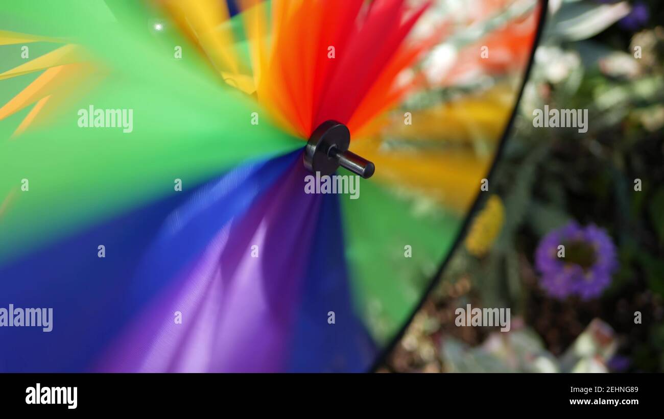 Colorful pinwheel spinning, weather wind vane, garden decoration in USA ...