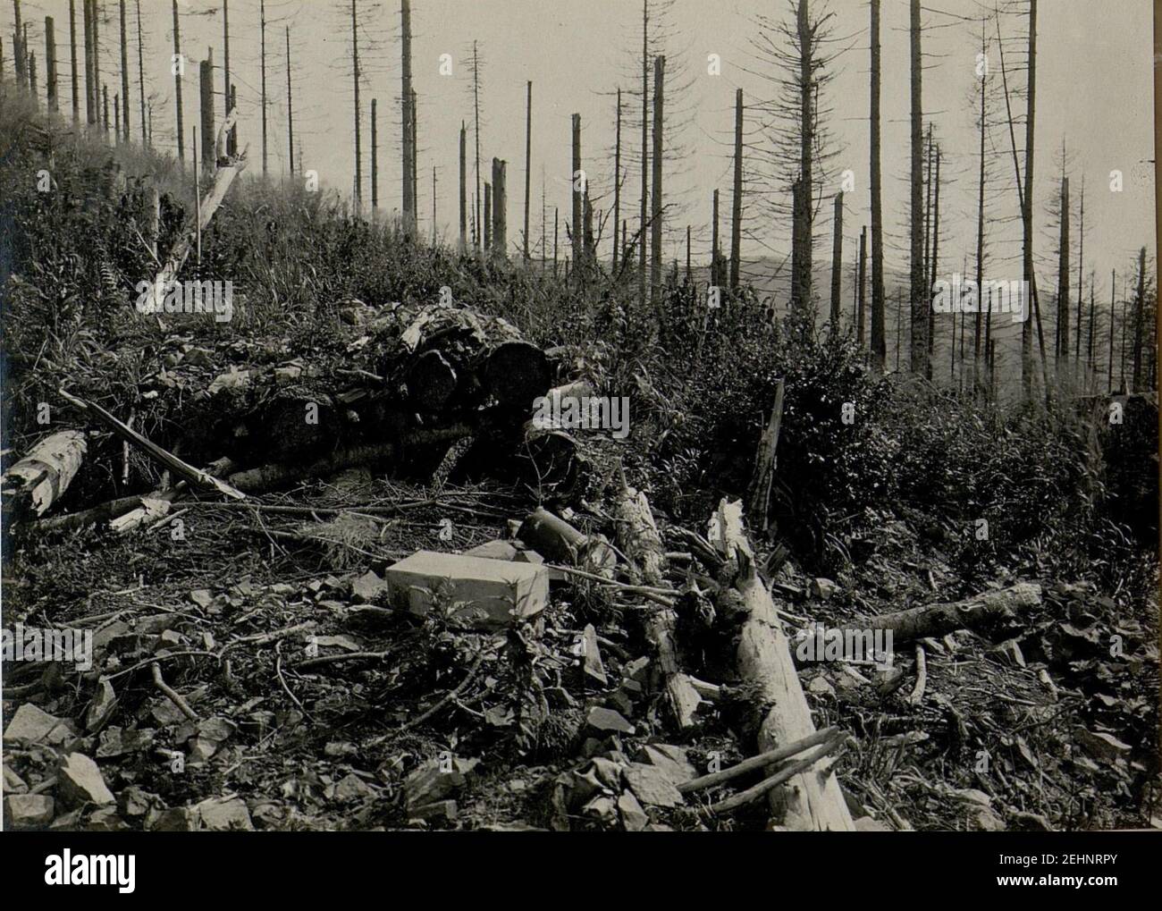 Partie von der Makowka Stock Photo - Alamy