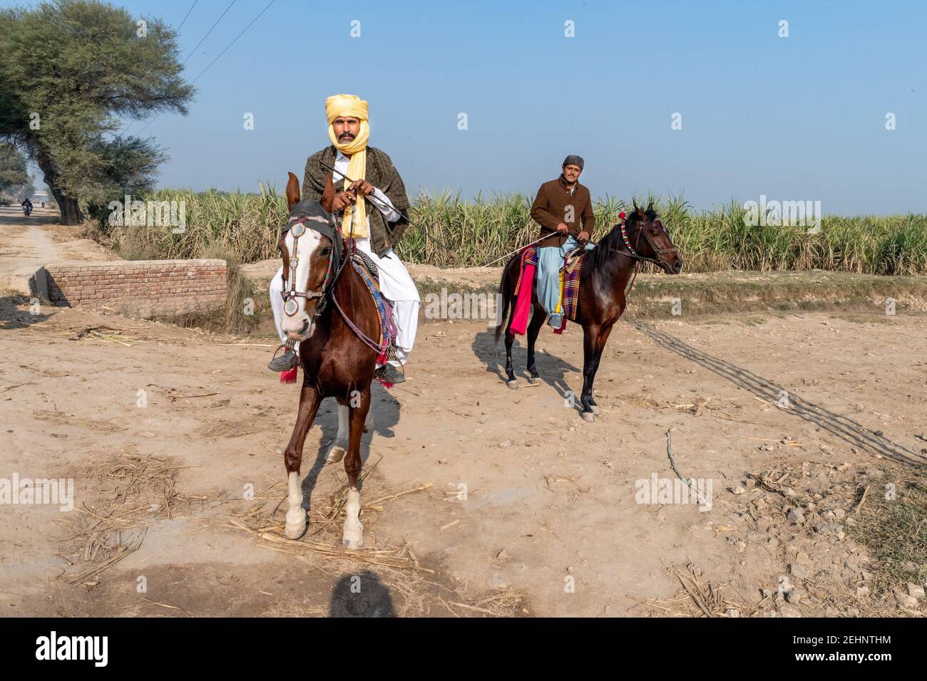 Villagers Riding Horses, rural Punjab, Pakistan Stock Photo - Alamy