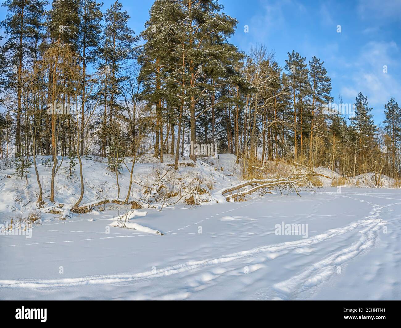 Winter evening on the banks of an old quarry of a brick factory Stock ...