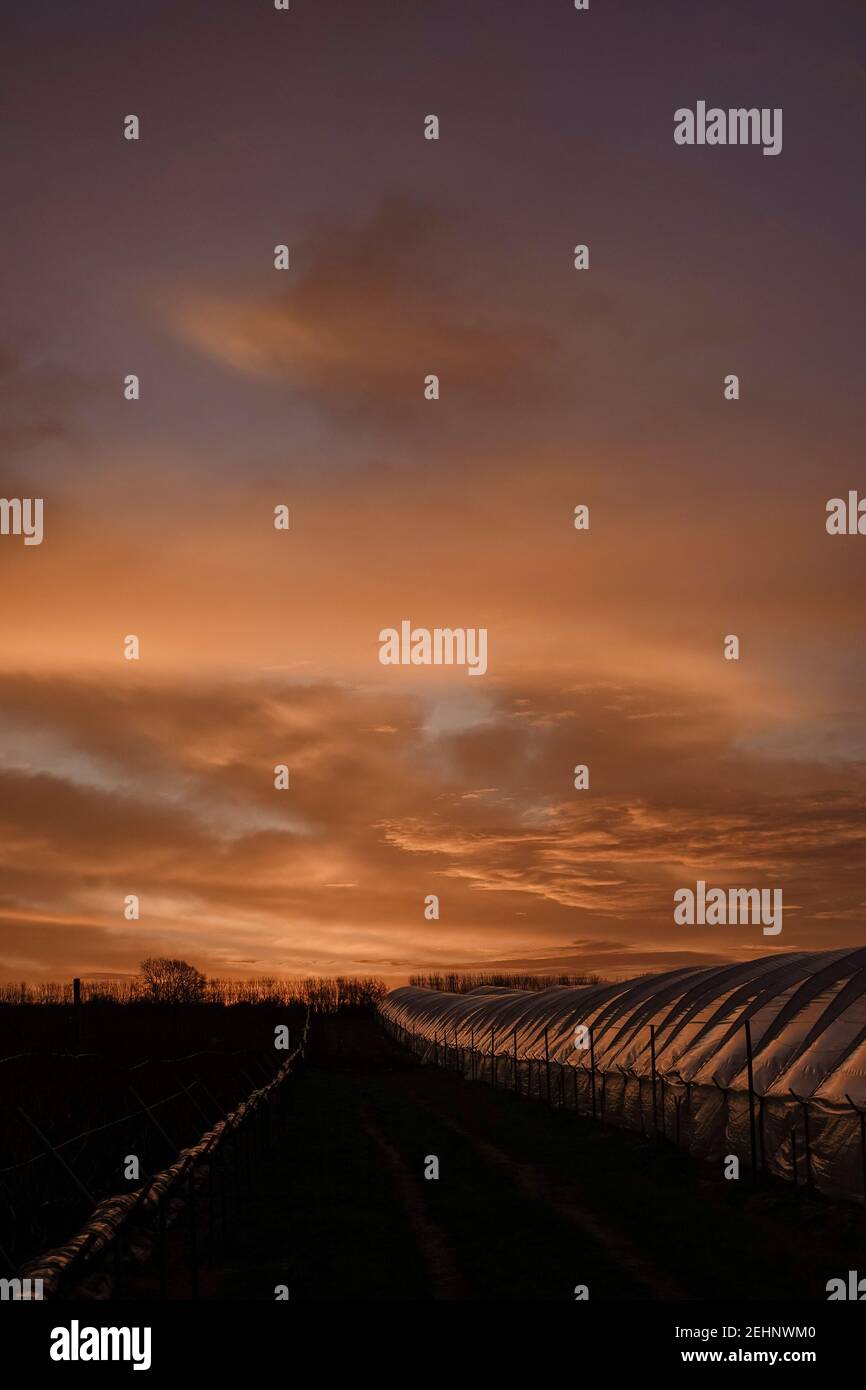 Tuesley Farm, Godalming. 20th February 2021. A beautiful start to the ...
