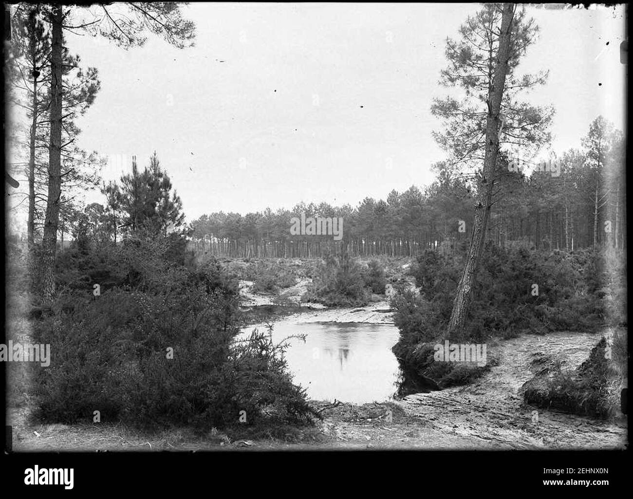 Labouheyre hi-res stock photography and images - Alamy