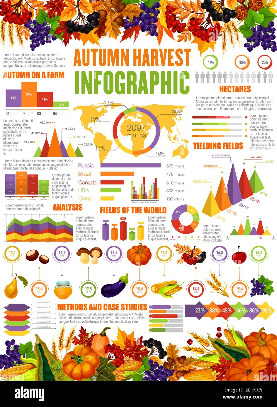 Autumn harvest infographic seasonal statistics poster. Vector diagrams ...