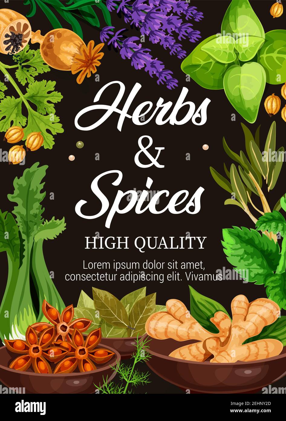 Cumin seeds vector vectors Stock Vector Images - Alamy