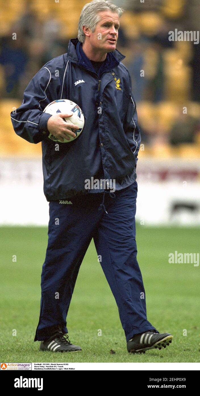 Steve foley football hi-res stock photography and images - Alamy