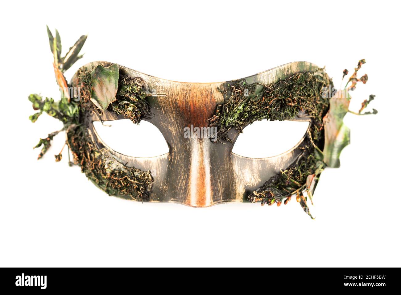 Moss eye Cut Out Stock Images & Pictures - Alamy