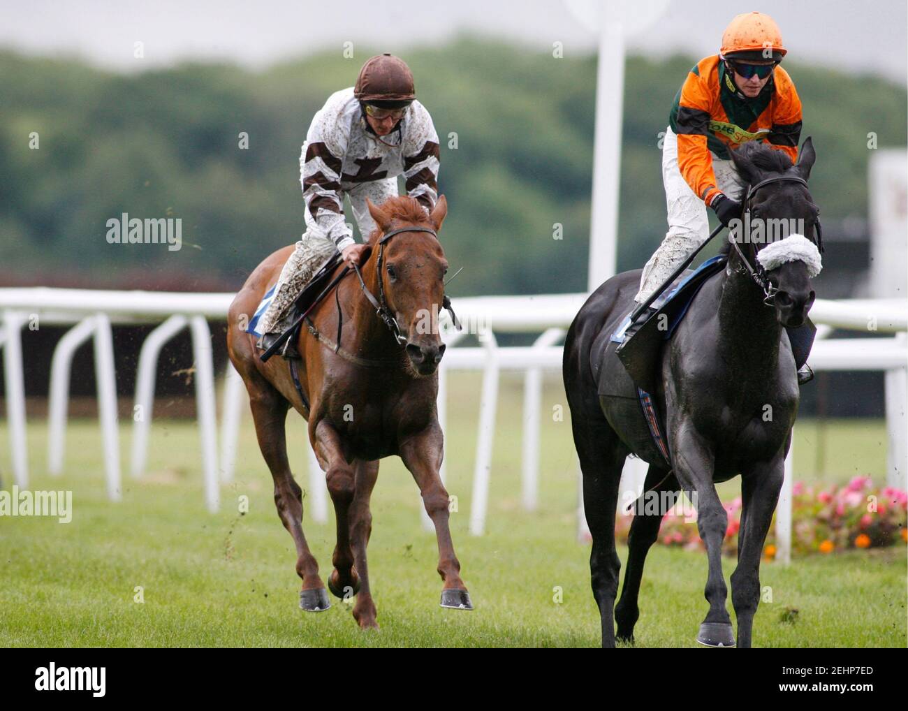 Hamilton Racecourse High Resolution Stock Photography and Images - Alamy