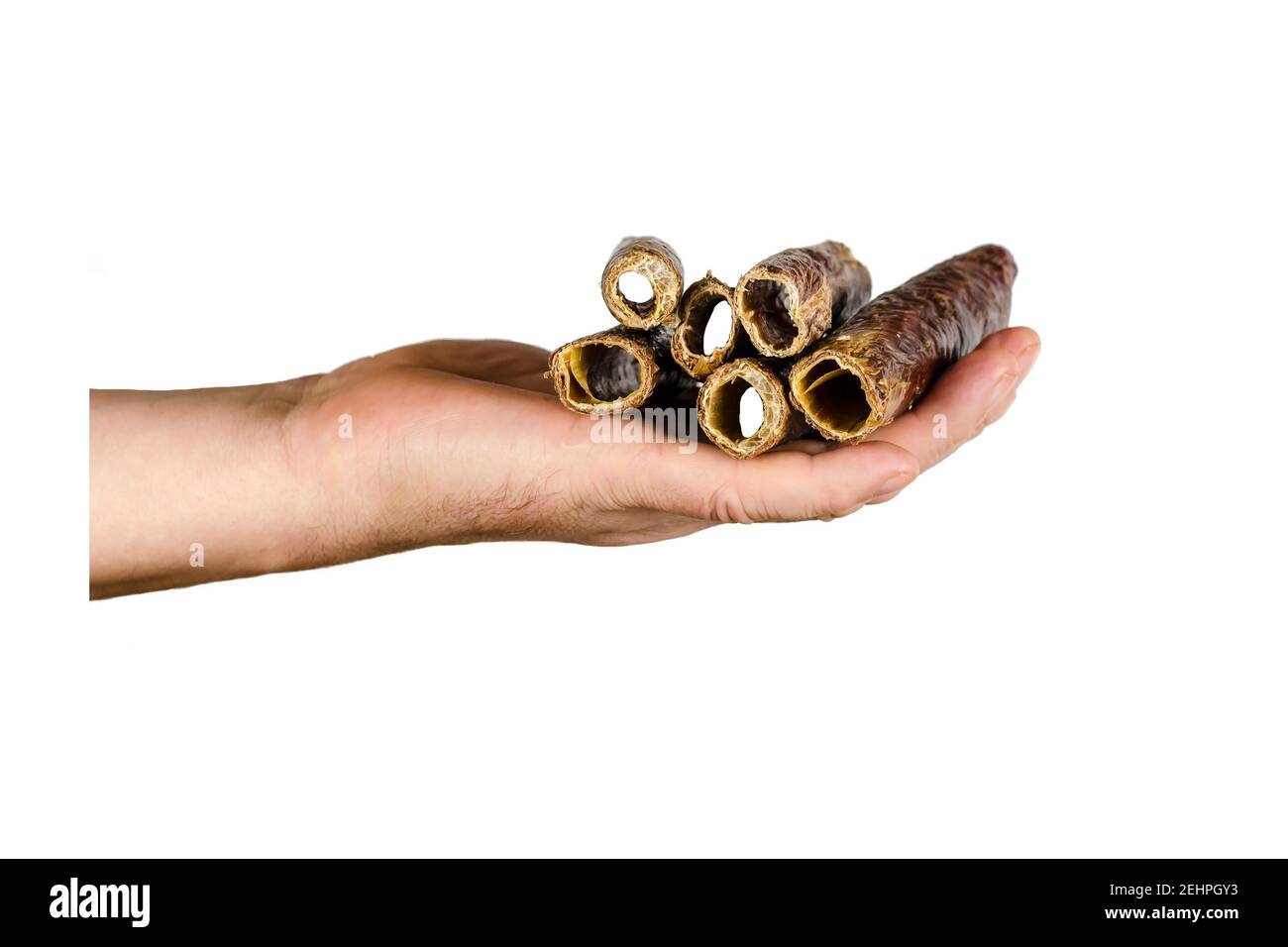 Men's Hand demonstrates Dried beef esophagus sticks. Chews treats for ...