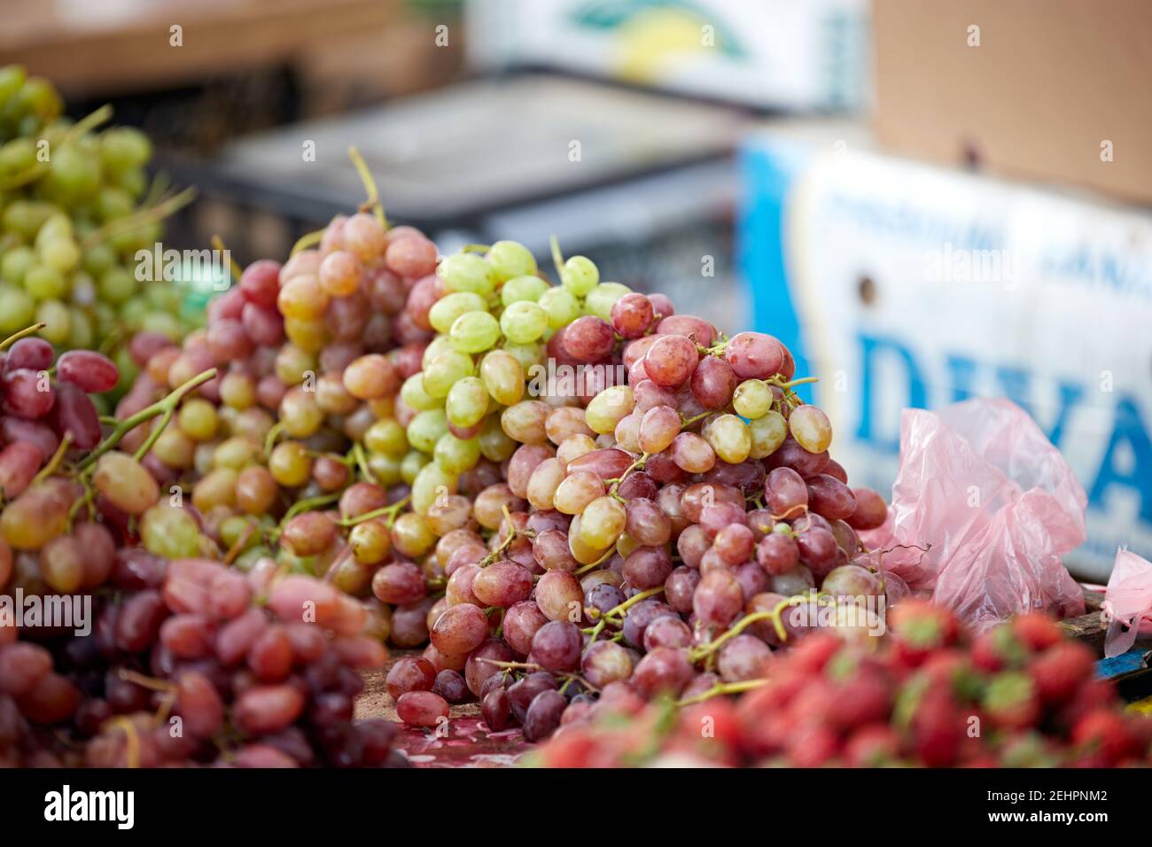 Grapes shallow depth field hi-res stock photography and images - Alamy