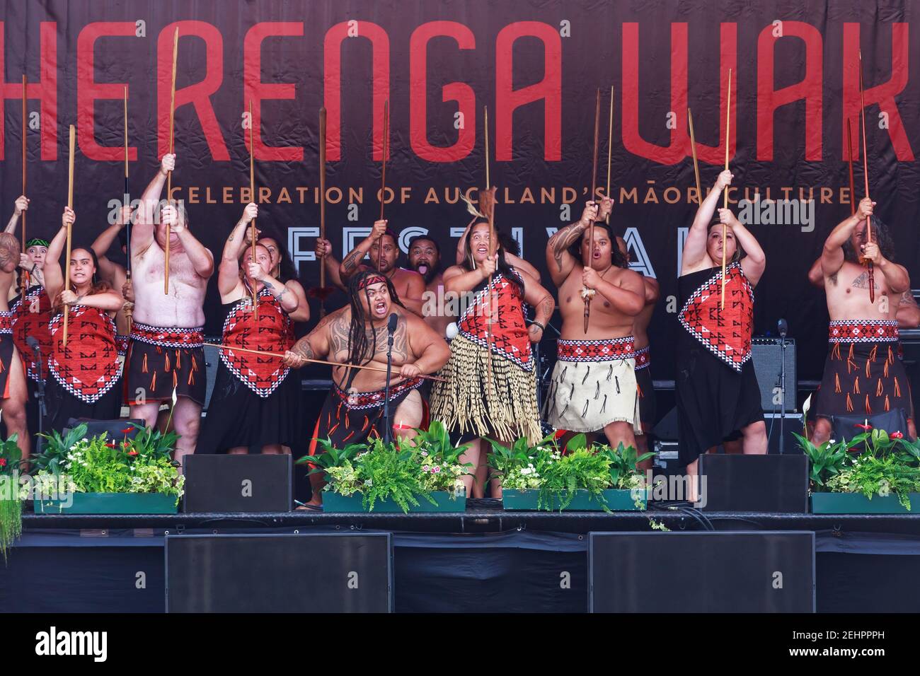 Maori men and women in traditional costume performing a haka ...