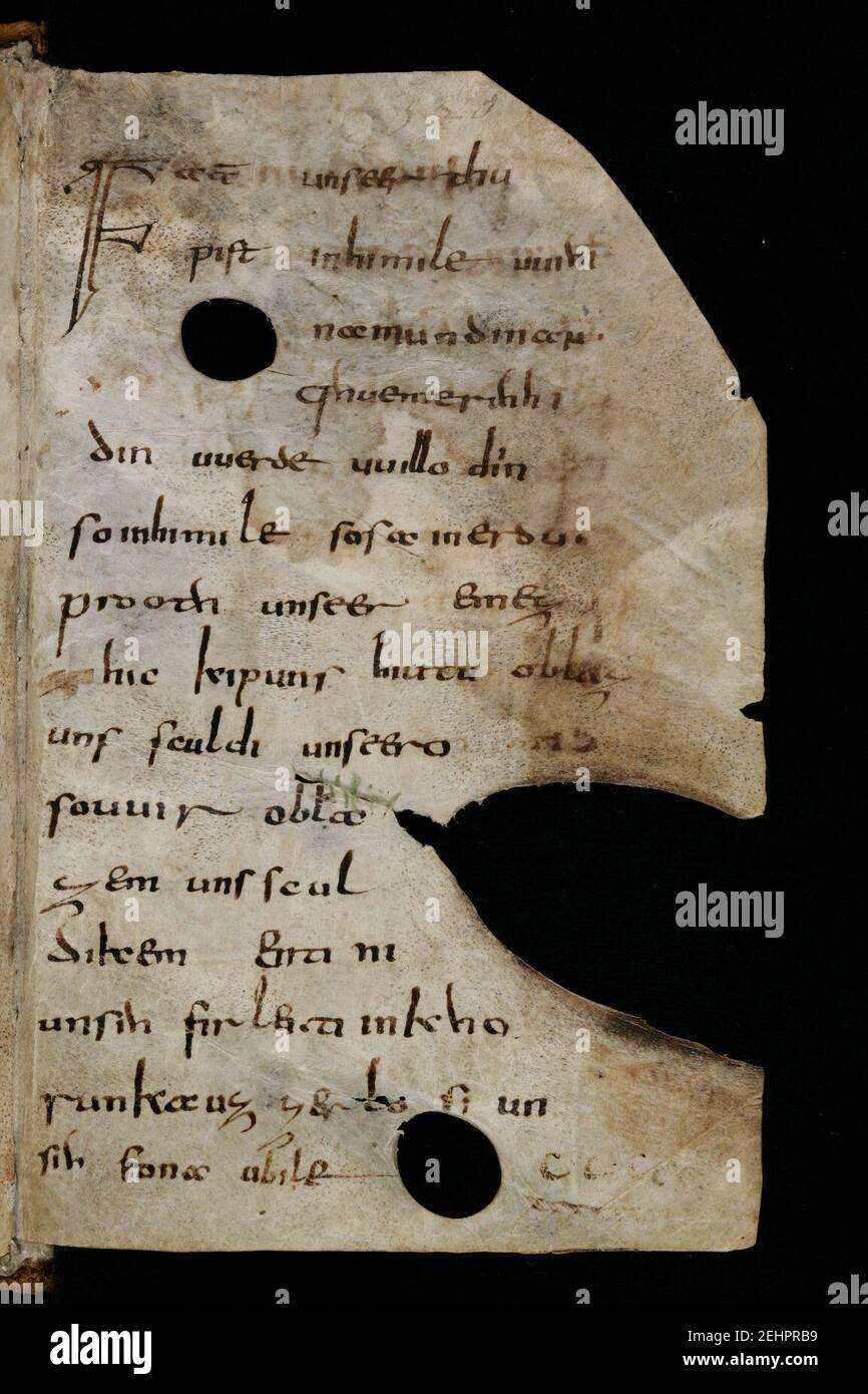 Codex sangallensis hi-res stock photography and images - Alamy