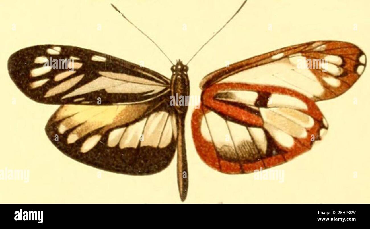 Patia hi-res stock photography and images - Alamy