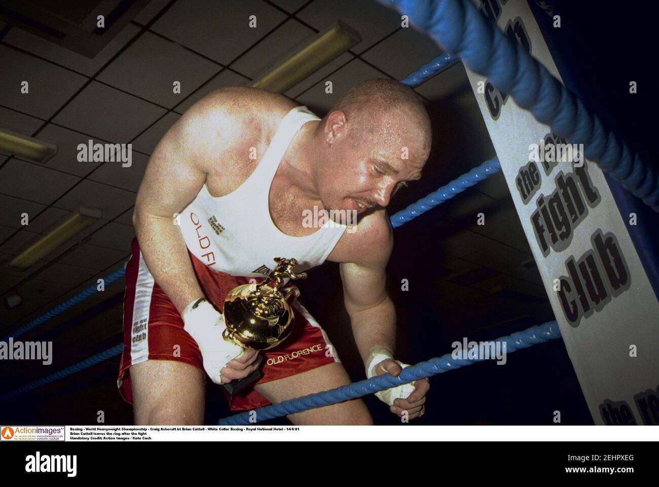 Cattell High Resolution Stock Photography and Images - Alamy