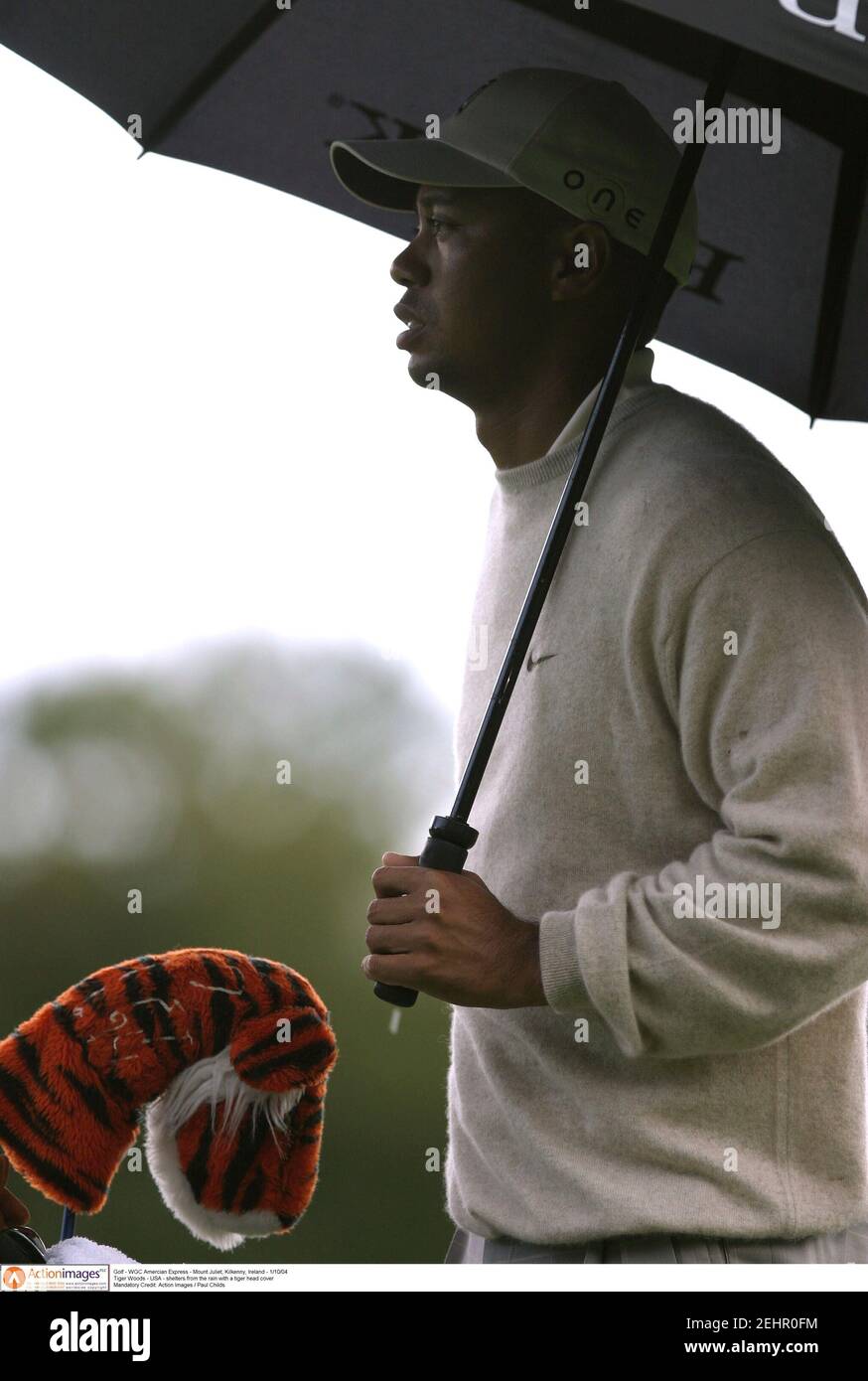 Tiger golf head cover hi-res stock photography and images - Alamy