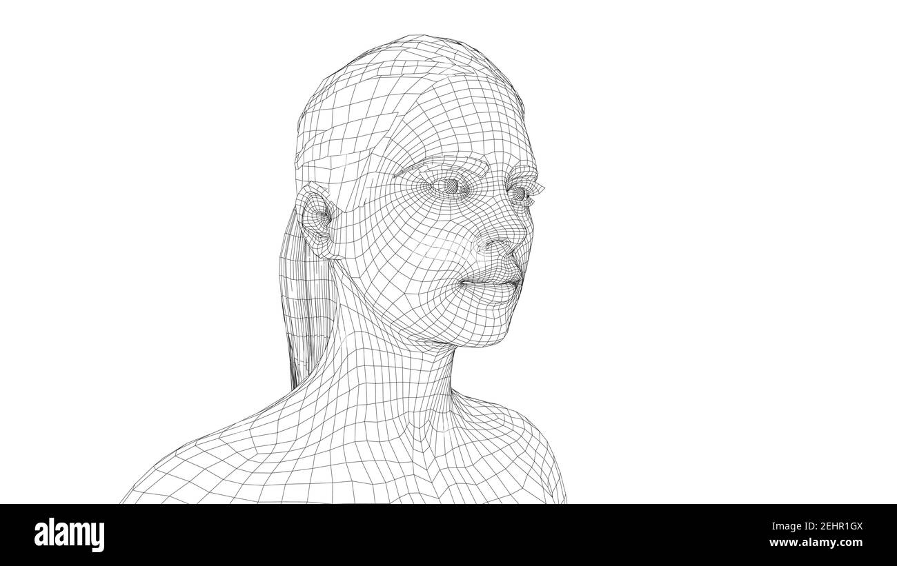Female wireframe head Stock Vector Images - Alamy