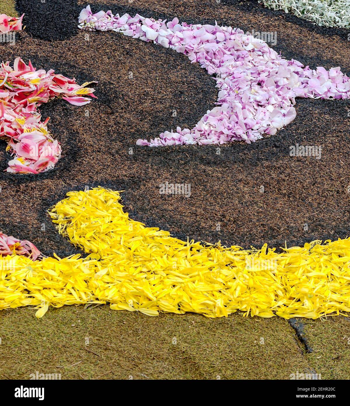 Formal garden with flowers in a fund Stock Photo - Alamy